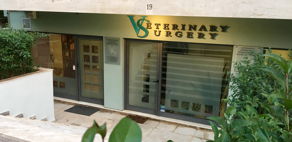 Ορθοπαιδική Κλινική Κτηνιατρος - Veterinary Surgery